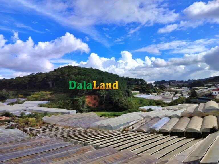 Bán căn nhà đẹp mới xây ở KDL Làng Hoa Vạn Thành - Phường 5 - TP. Đà ...